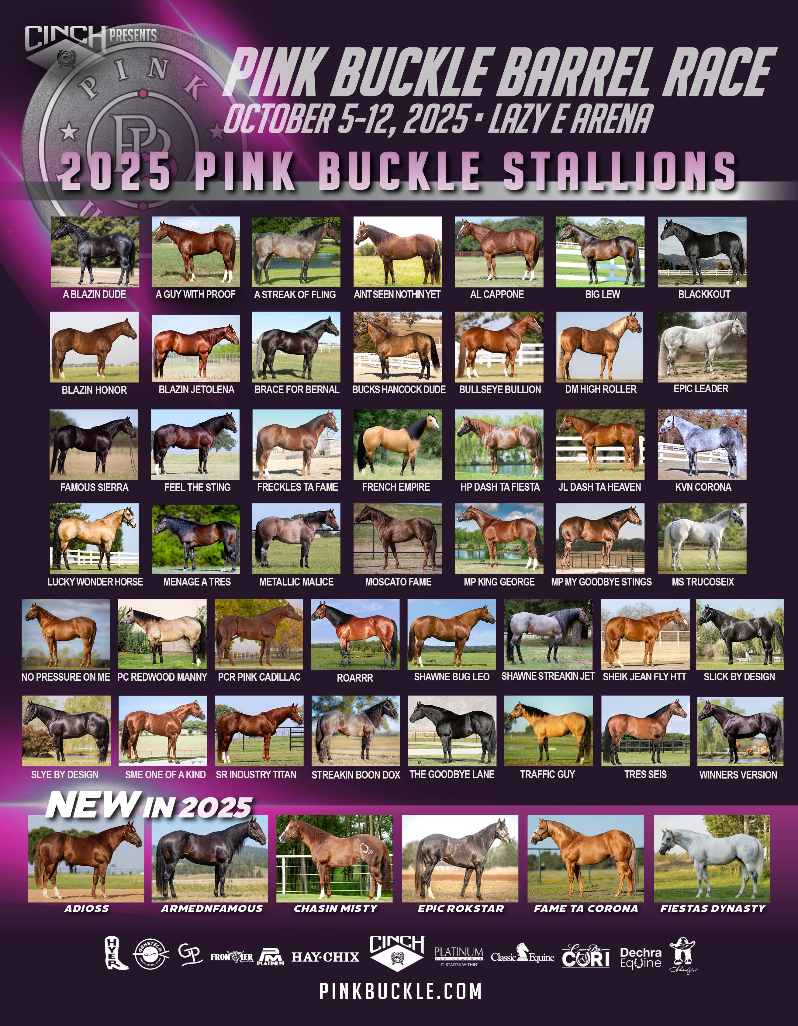 Home - Pink Buckle