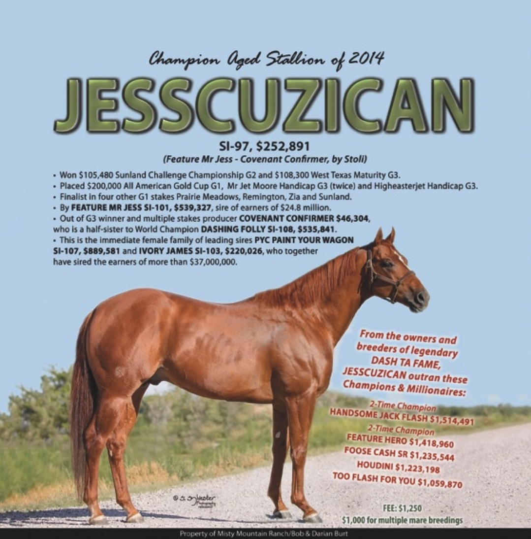 JESSCUZICAN - Stallions - Ruby Buckle