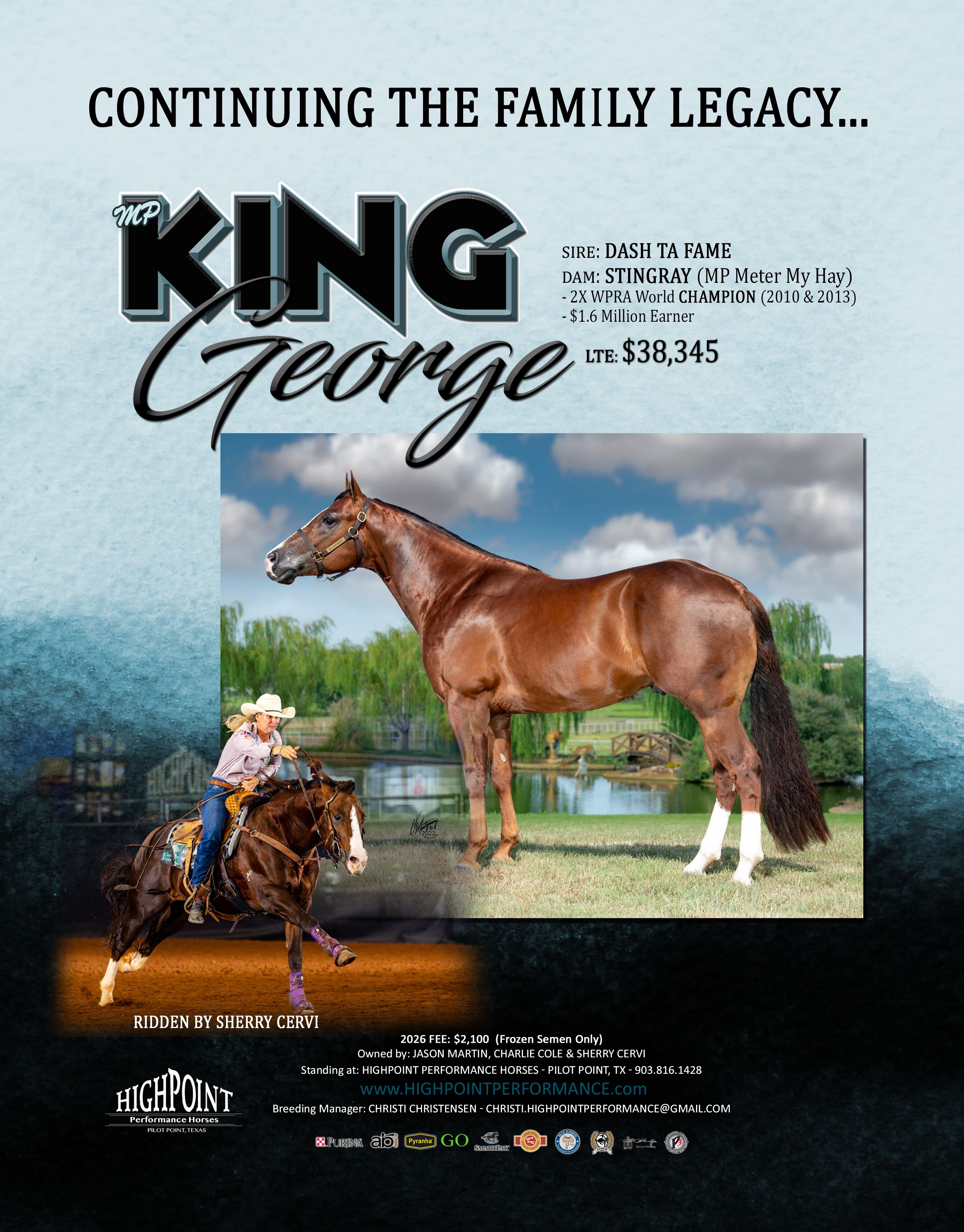 MP KING GEORGE - Stallions - Ruby Buckle