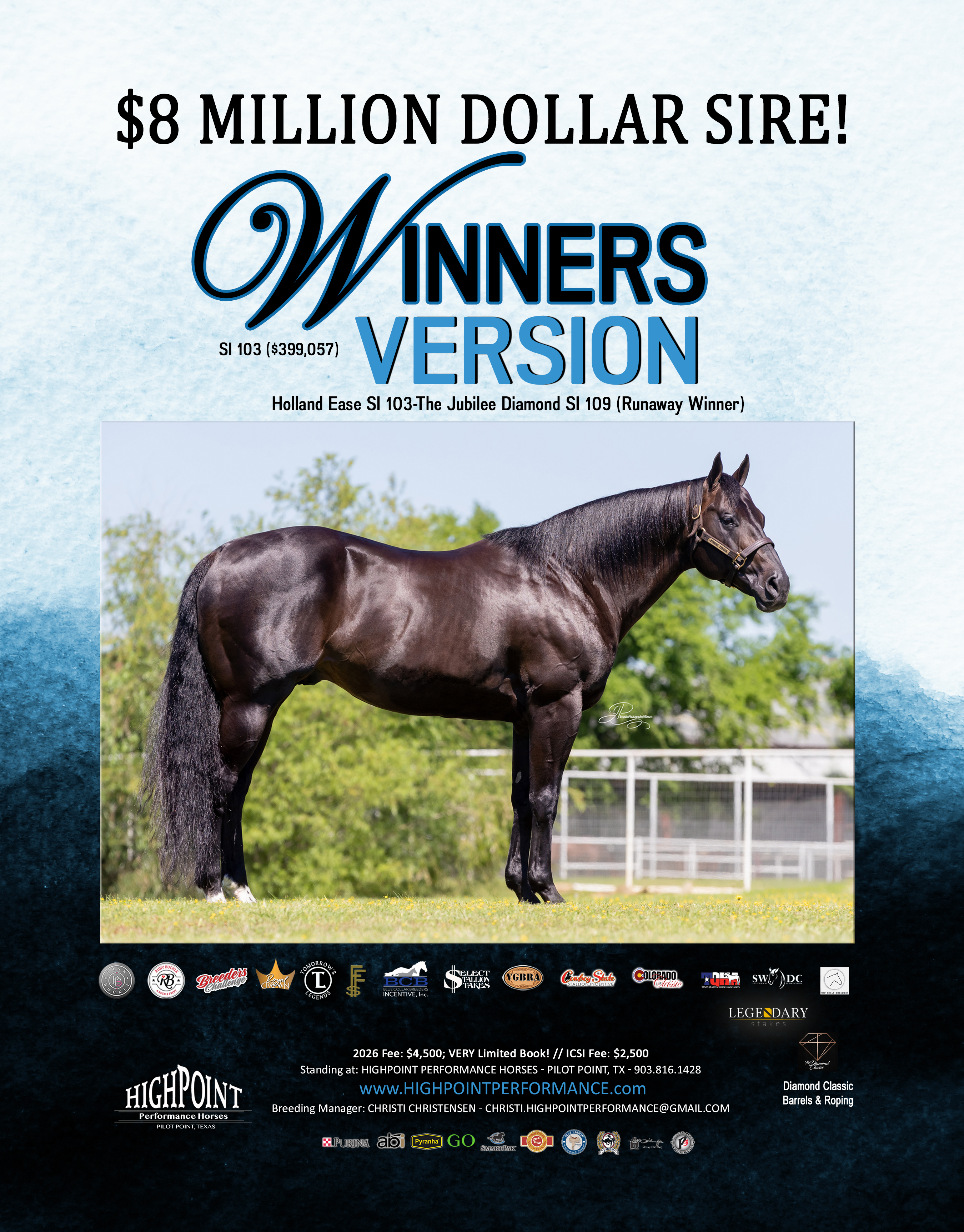 WINNERS VERSION - Stallions - Pink Buckle