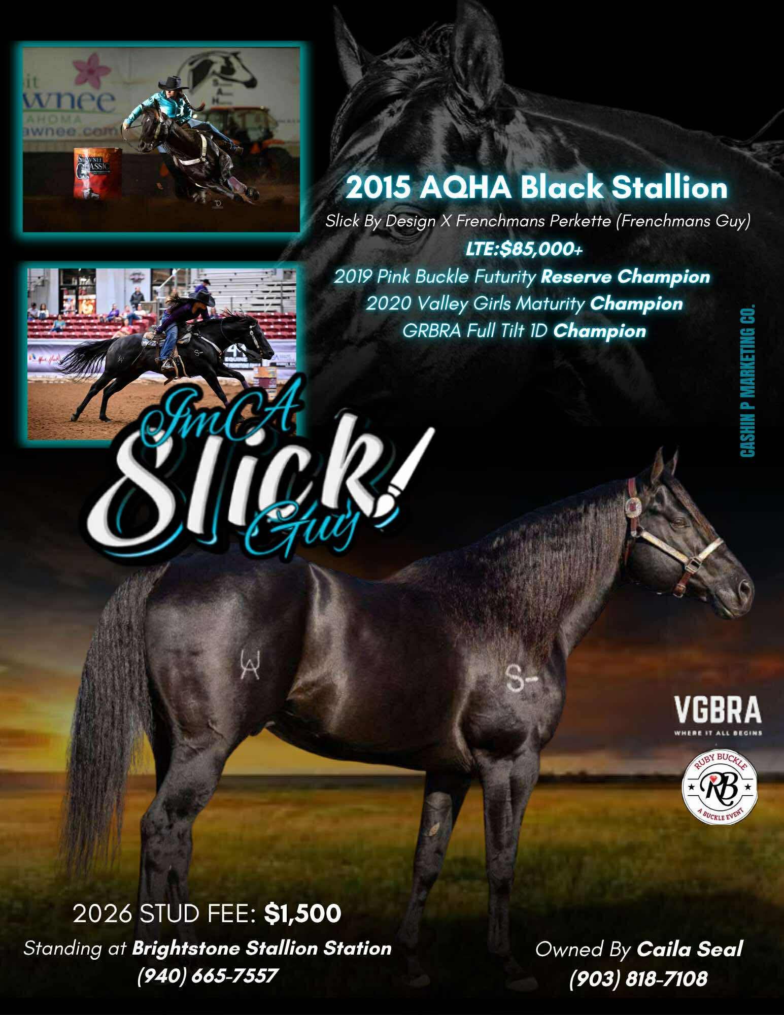 IM A SLICK GUY - Stallions - Ruby Buckle
