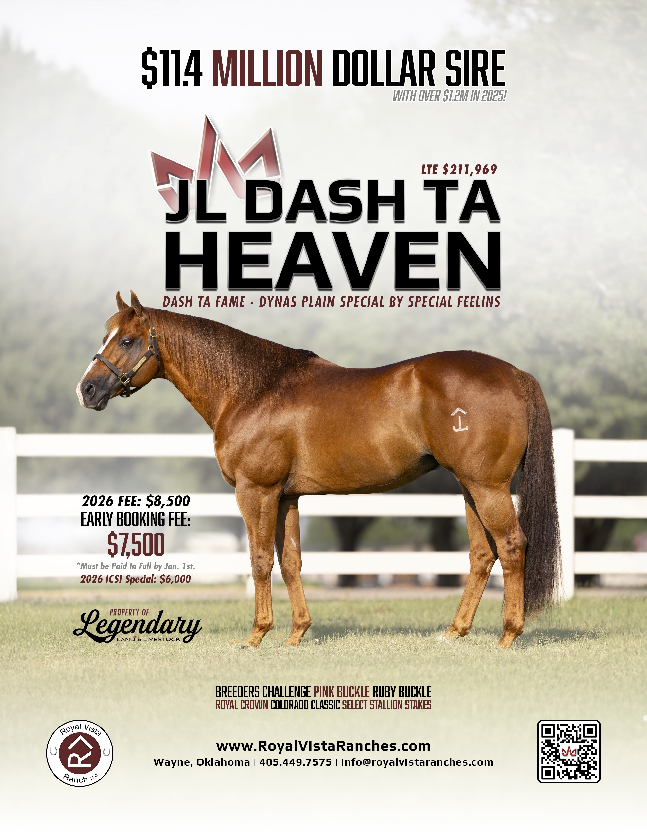 JL DASH TA HEAVEN - Stallions - Pink Buckle