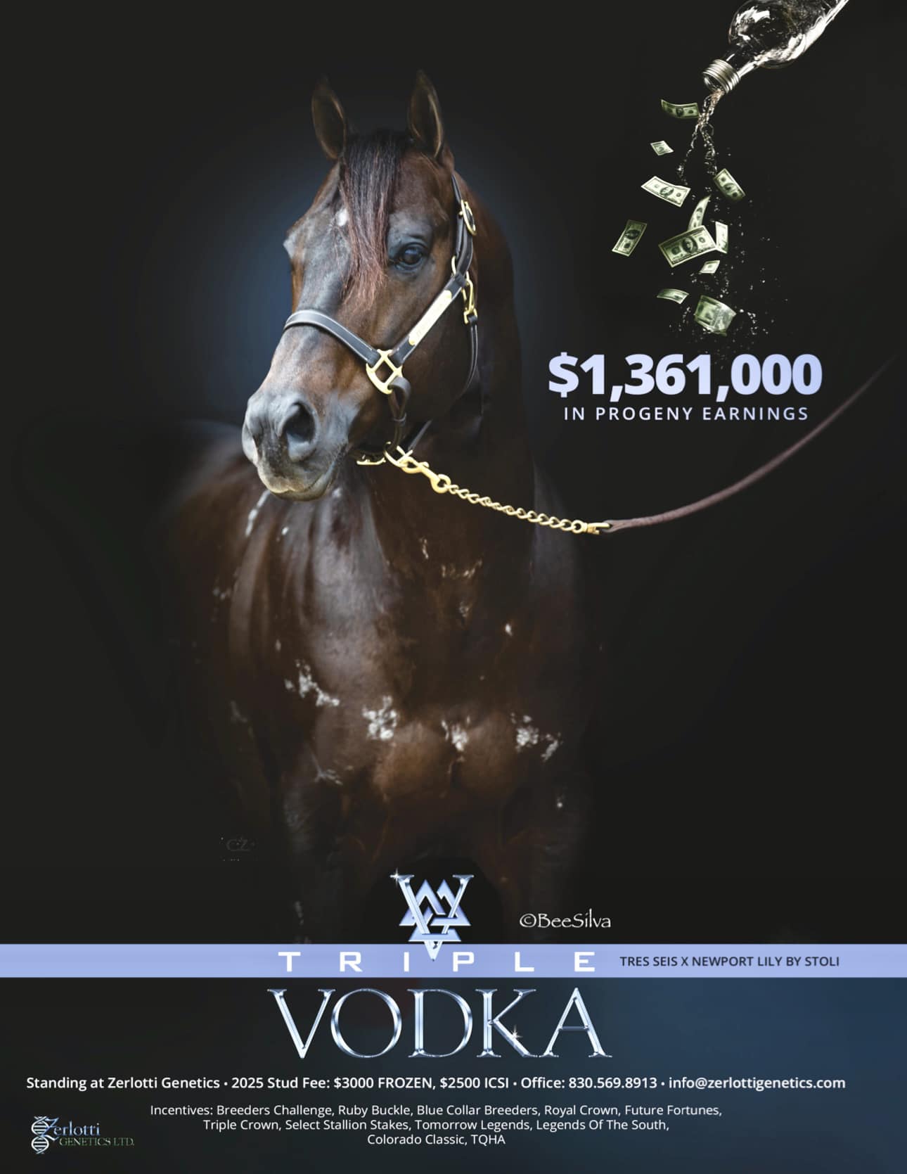 TRIPLE VODKA - Stallions - Ruby Buckle