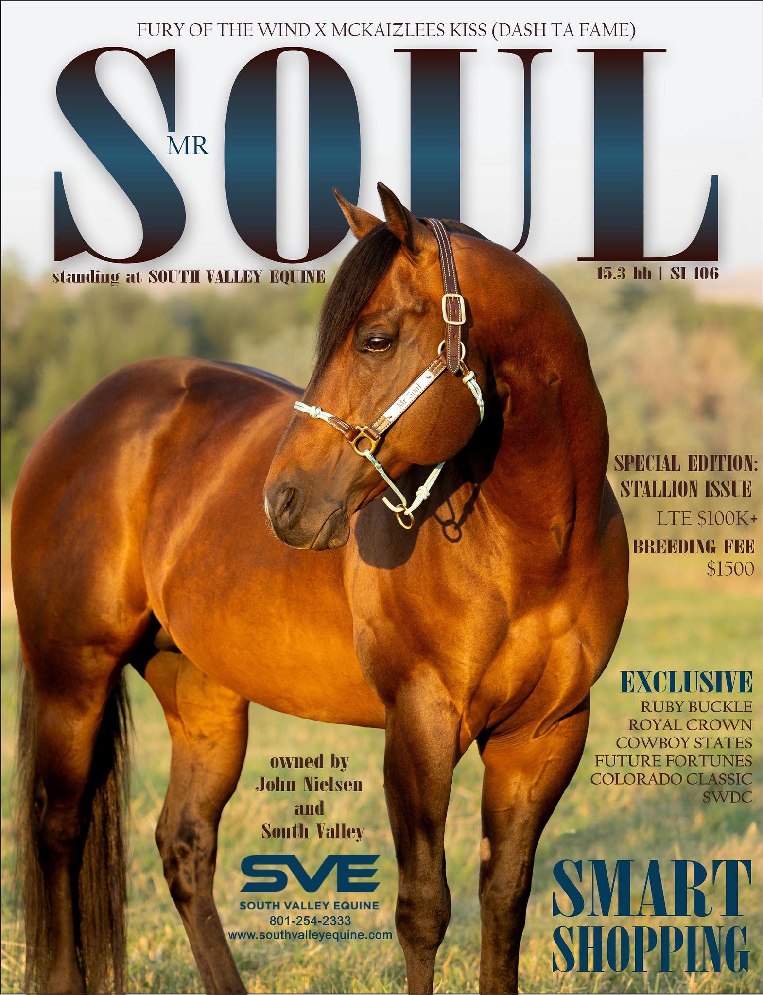MR SOUL - Stallions - Ruby Buckle